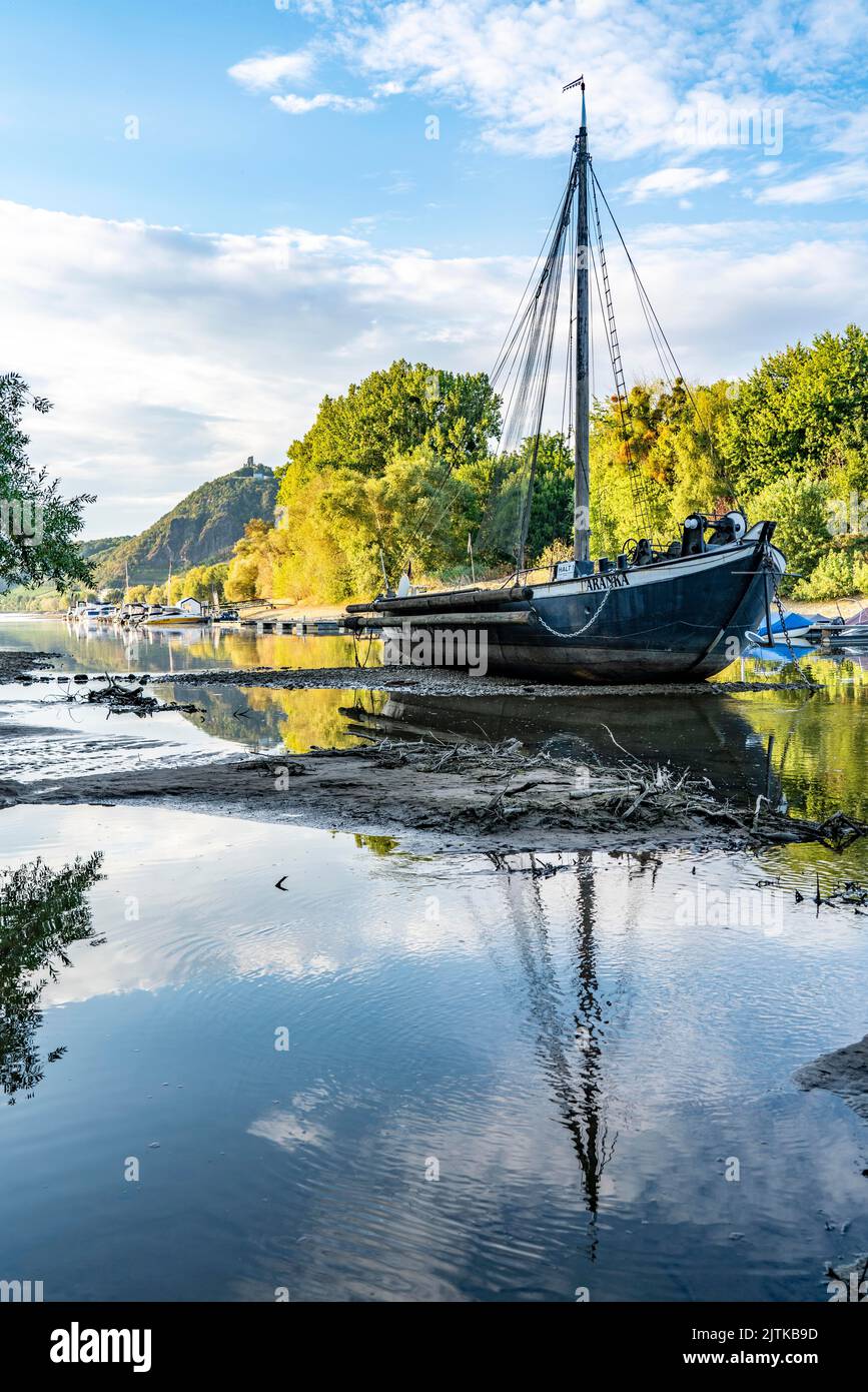Le Rhin à l'extrême basse eau, près de Bad Honnef Rhöndorf, au-dessous ...