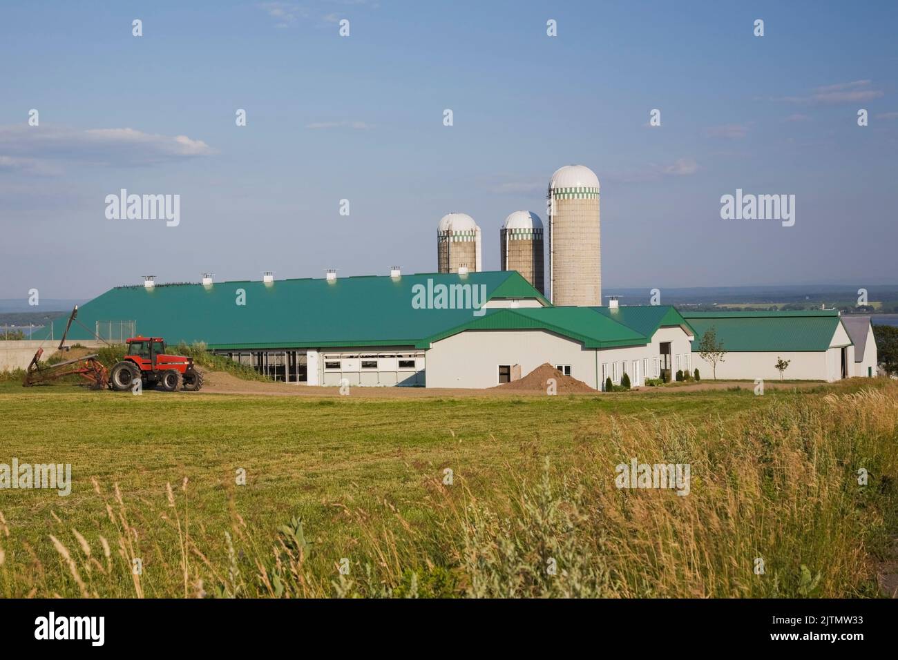 Ferme laitière verte et blanche avec trois silos à céréales en été ...
