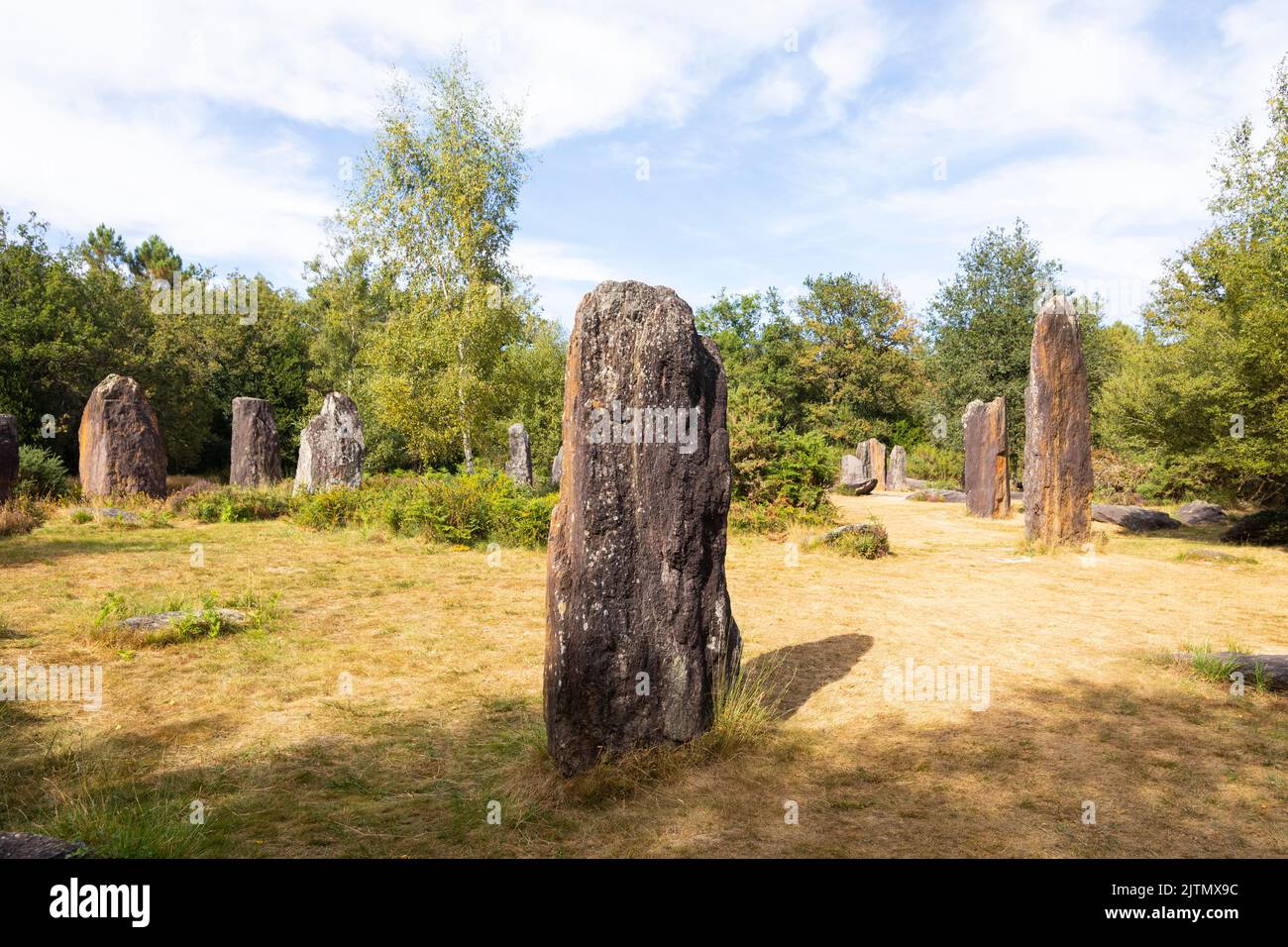 Menhirs de monteneuf Banque de photographies et d’images à haute ...