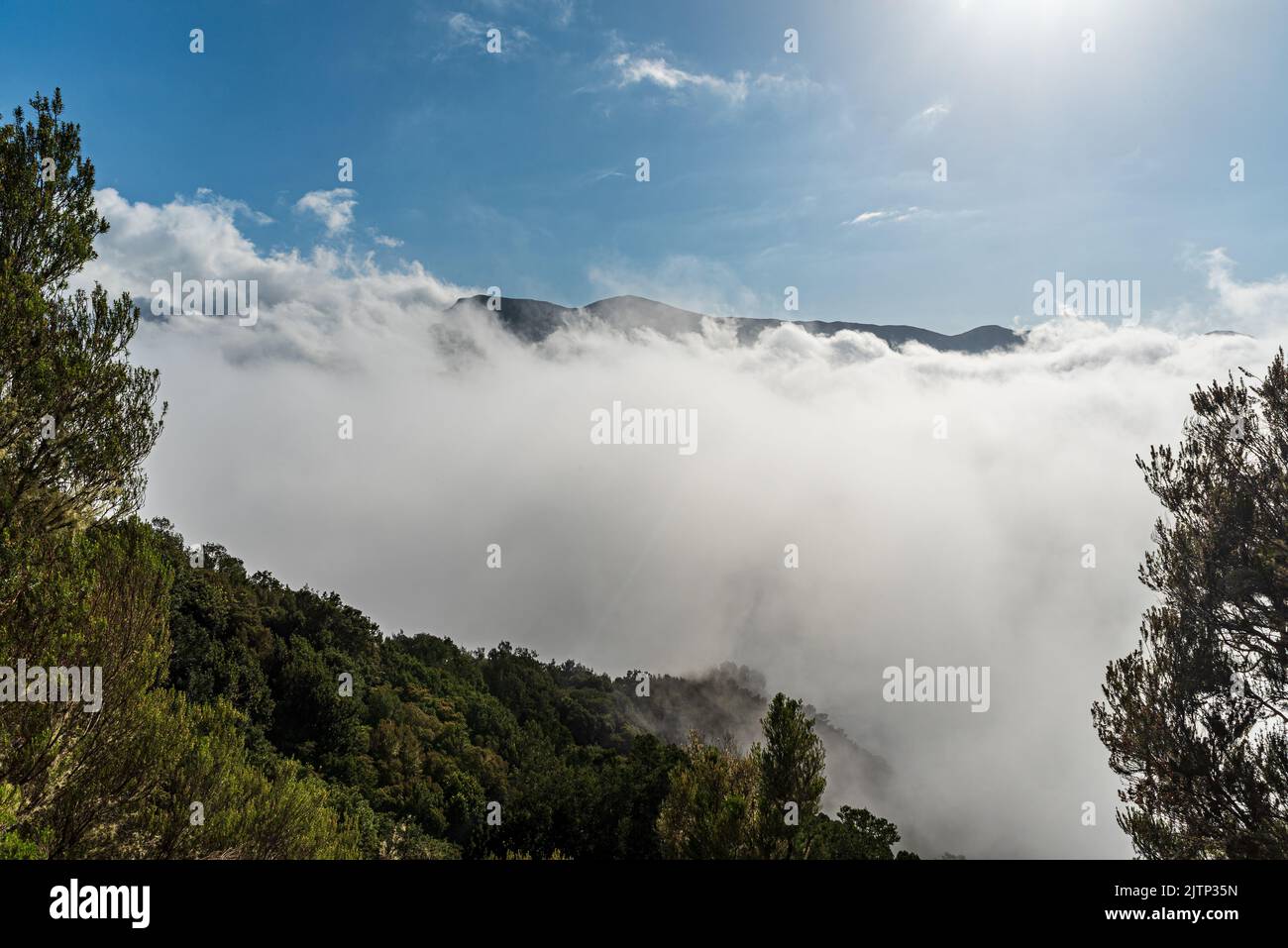 Sommets de colline au-dessus de la brume dans l'île de Madère - vue de ...