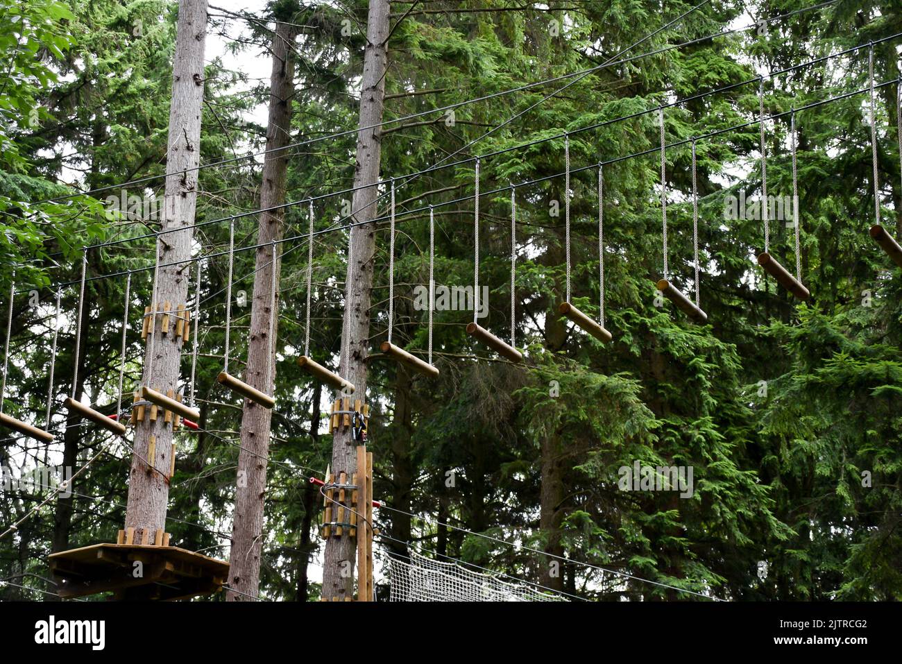 Activités d'aventure en plein air « Go APE » - parcours d'aventure pour ...