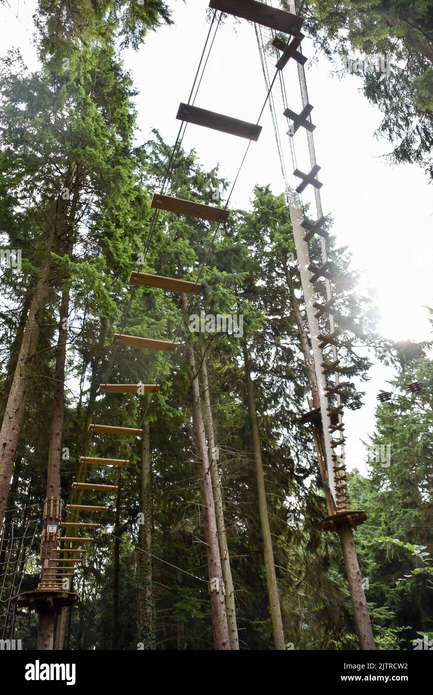Activités d'aventure en plein air « Go APE » - parcours d'aventure pour ...