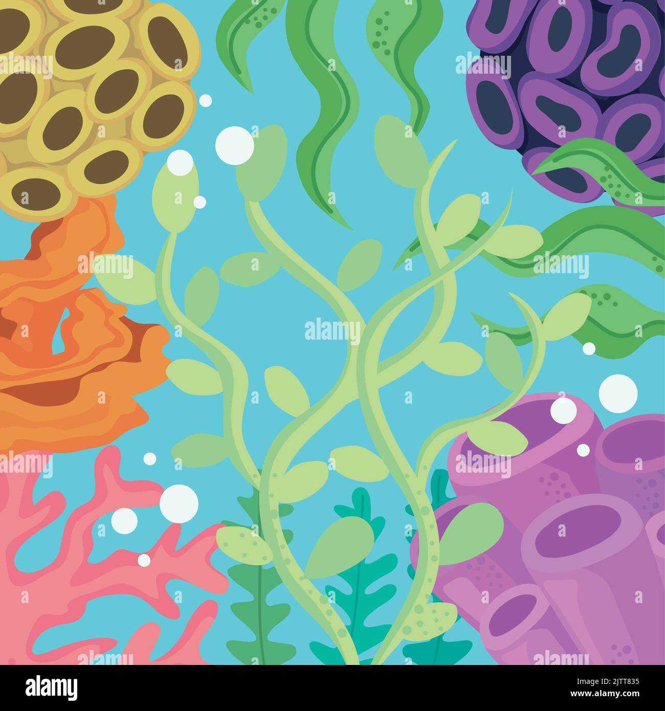 Motif orange algue Banque d'images vectorielles - Alamy