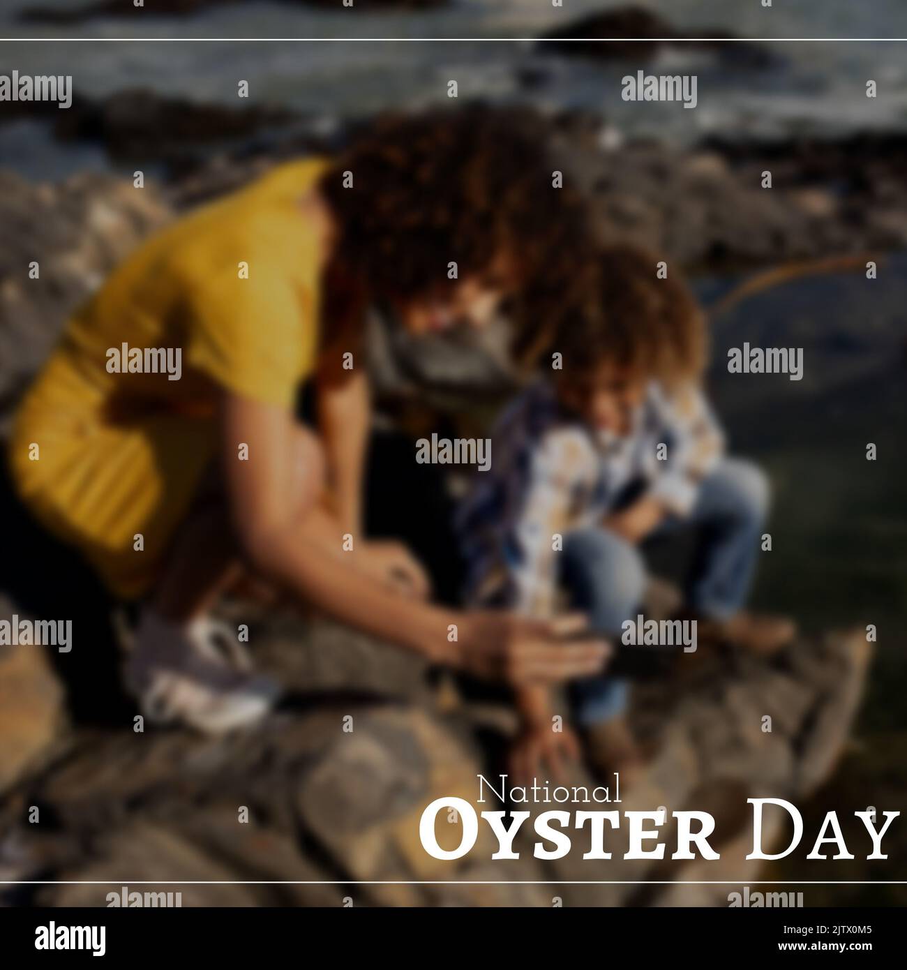 Huître sur rocher Banque de photographies et d’images à haute ...