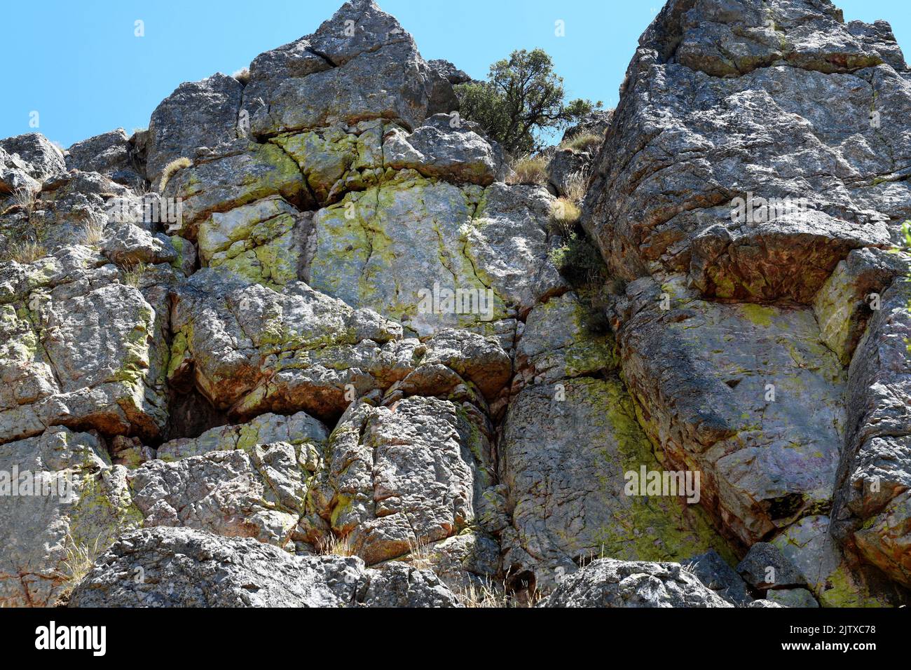 Quartzites d'Armorican. Cette photo a été prise à Cabañas del Castillo ...