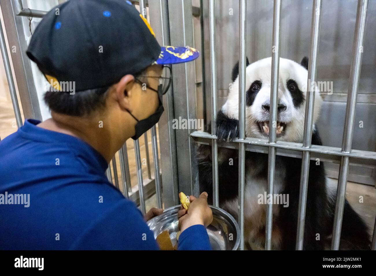 (220903) -- KUALA LUMPUR, le 3 septembre 2022 (Xinhua) -- le gardien de ...