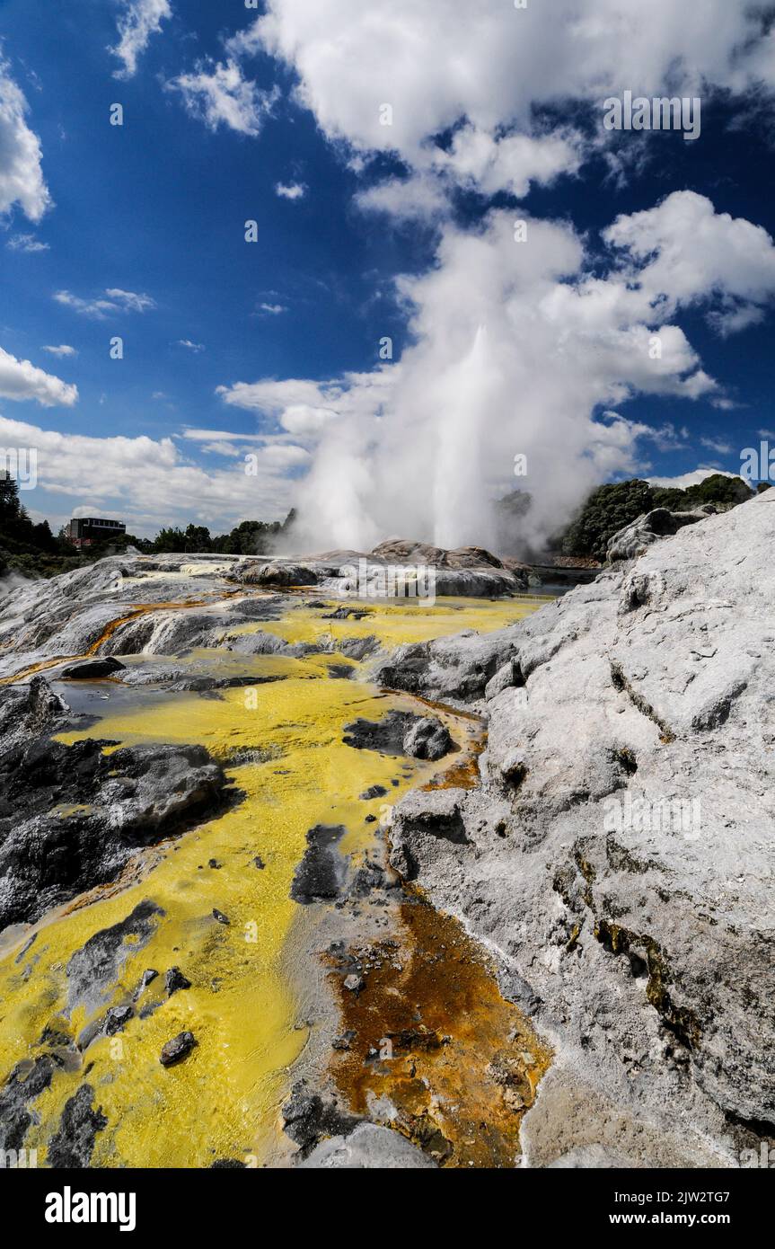Le geyser de Pohutu éclate environ une ou deux fois par heure envoyant ...