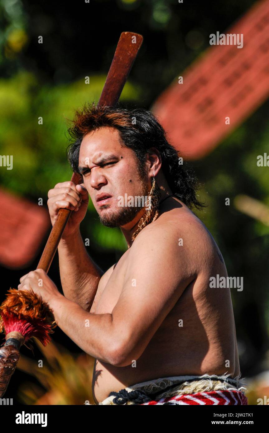 Maori hongi nz Banque de photographies et d’images à haute résolution ...