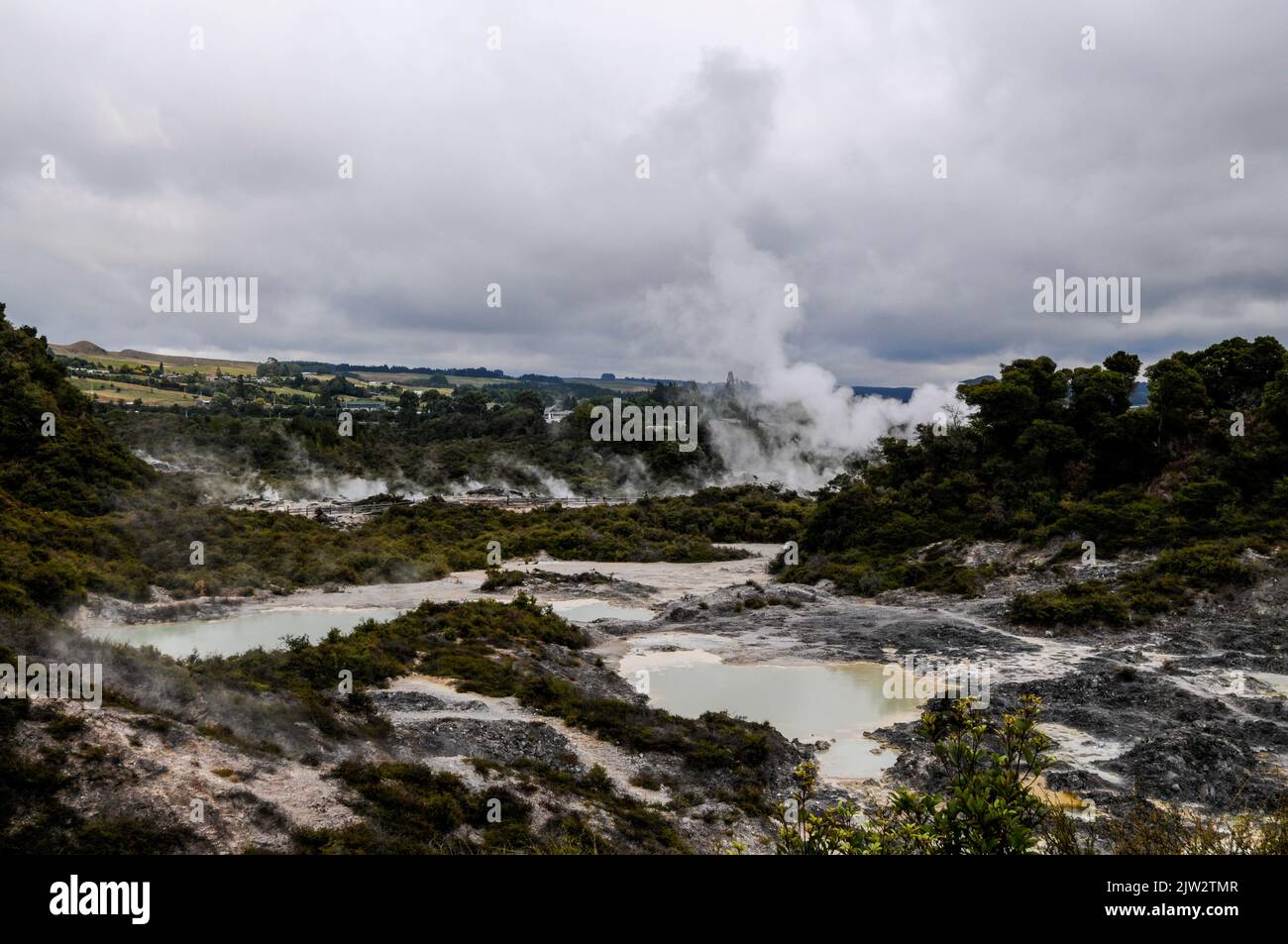 Culture moari Banque de photographies et d’images à haute résolution ...
