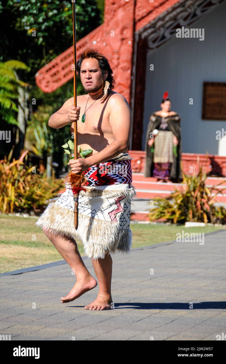 Tamaki Maori donne un Powwhiri ( accueil cérémonial ) dans le cadre d ...