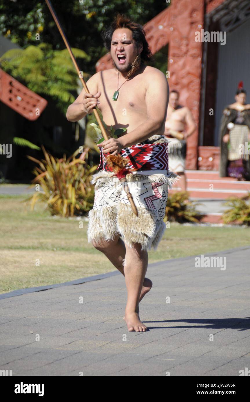 Tamaki Maori donne un Powwhiri ( accueil cérémonial ) dans le cadre d ...