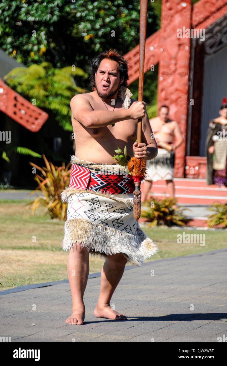 Maori hongi nz Banque de photographies et d’images à haute résolution ...