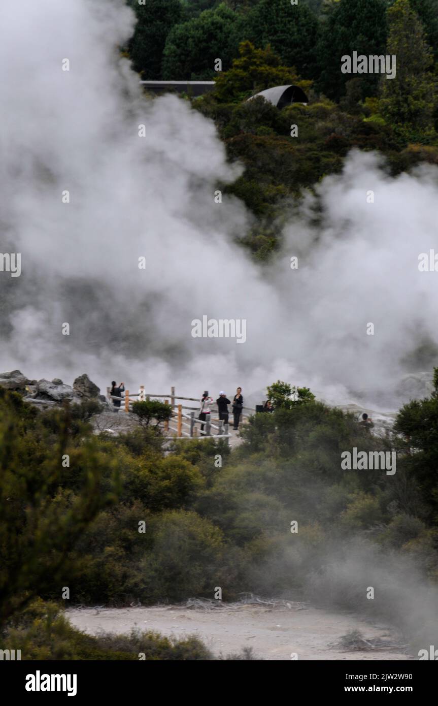 Le geyser de Pohutu éclate environ une ou deux fois par heure envoyant ...