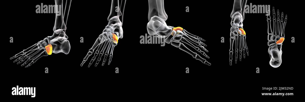 Cuboid structure Banque de photographies et d’images à haute résolution ...