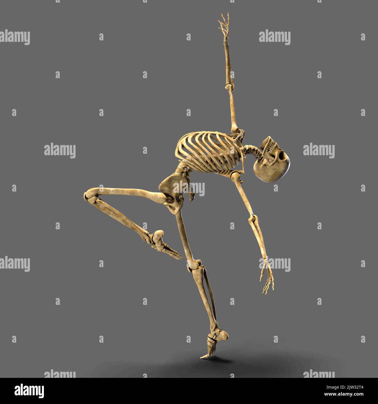 Un squelette humain en mouvement Banque de photographies et d’images à ...