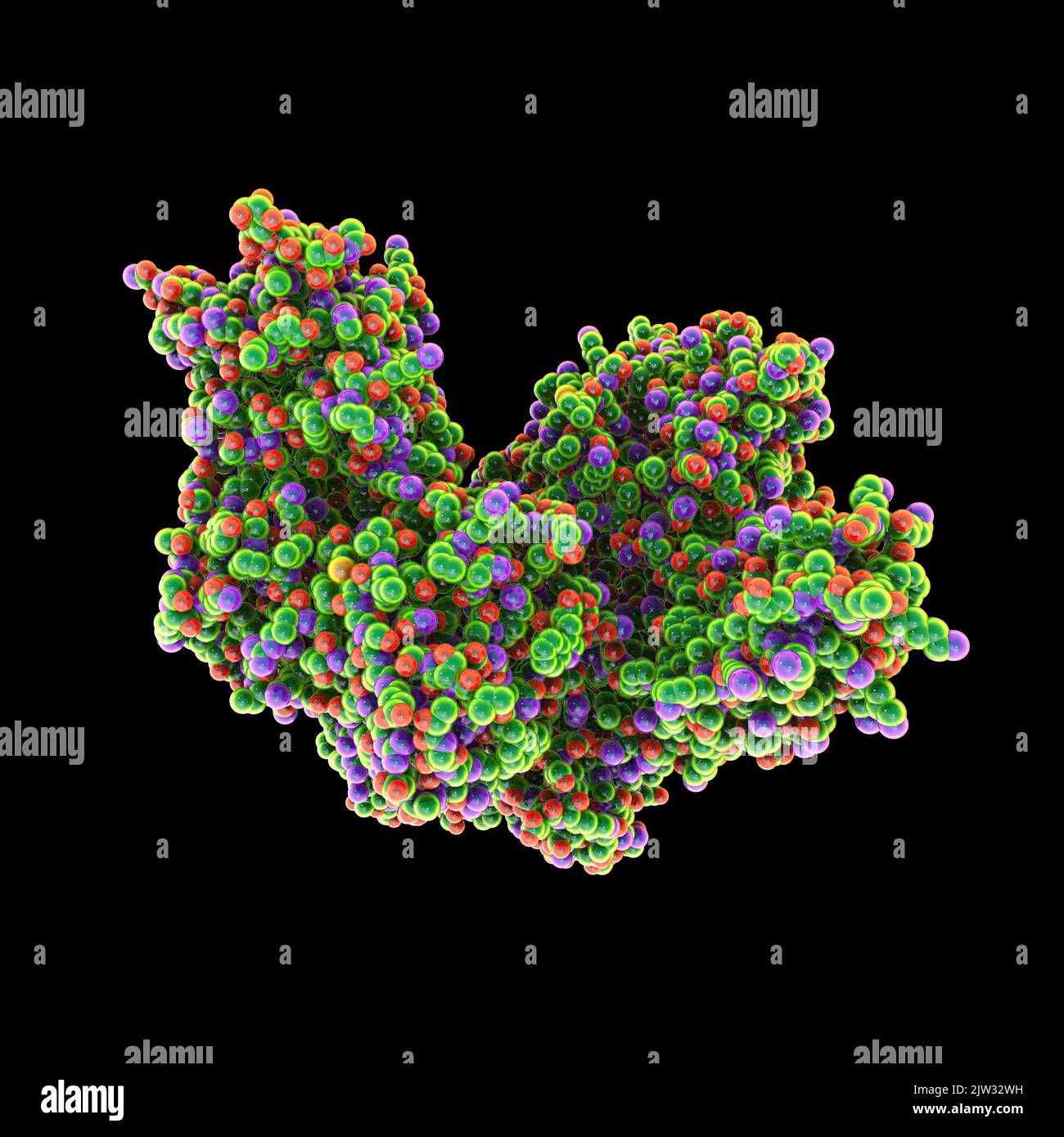 Bactérie clostridium tetani Banque de photographies et d’images à haute ...