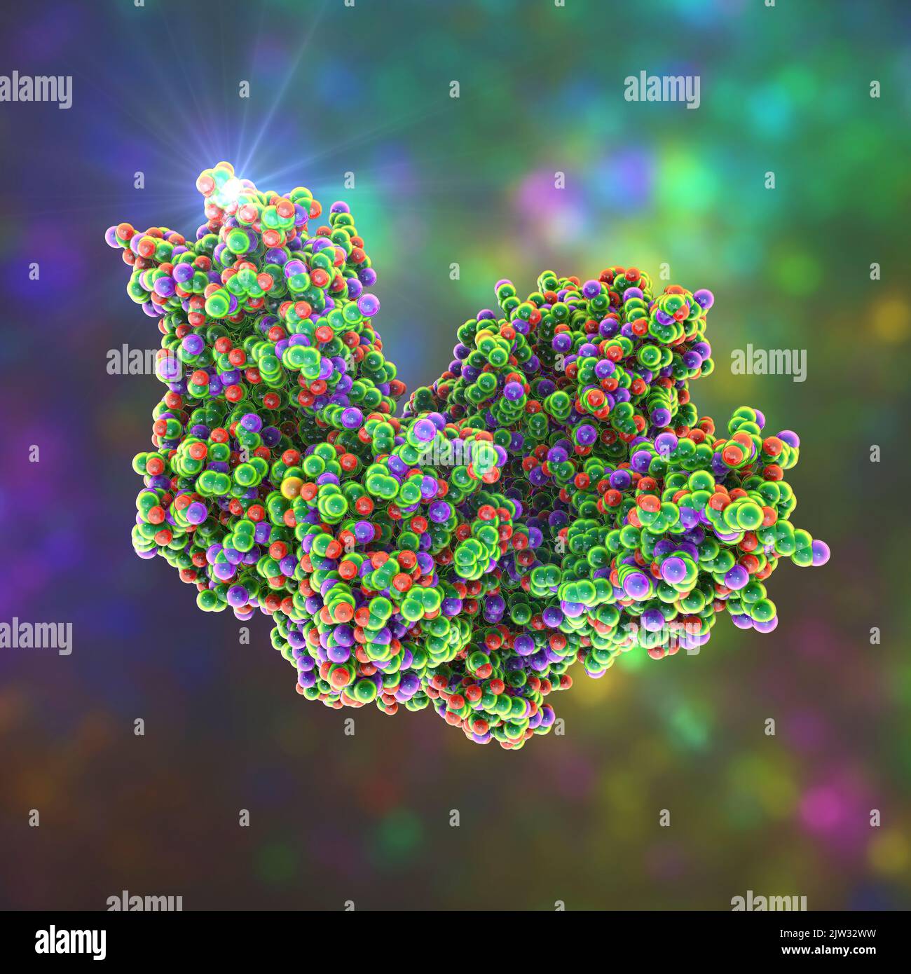 Molécule de neurotoxine tétanique, illustration. Il s'agit d'une ...