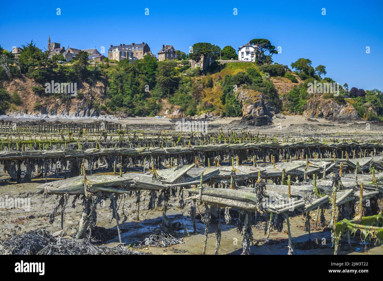 Les parcs à huîtres à marée basse dans la région de Oyster Farm ...