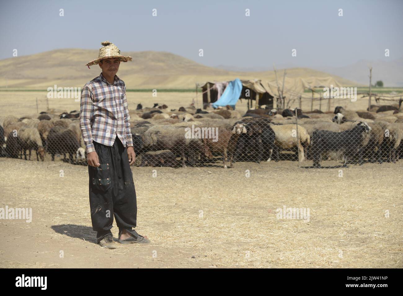 Tentes nomades entre Tamar et Ashkhaneh (provinces de Golestan et de ...