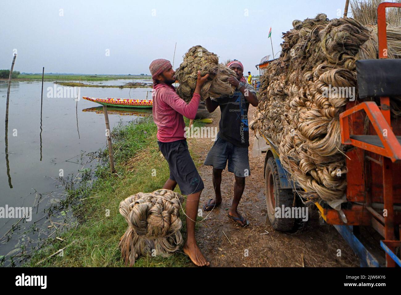 Fibres motrices Banque de photographies et d’images à haute résolution ...