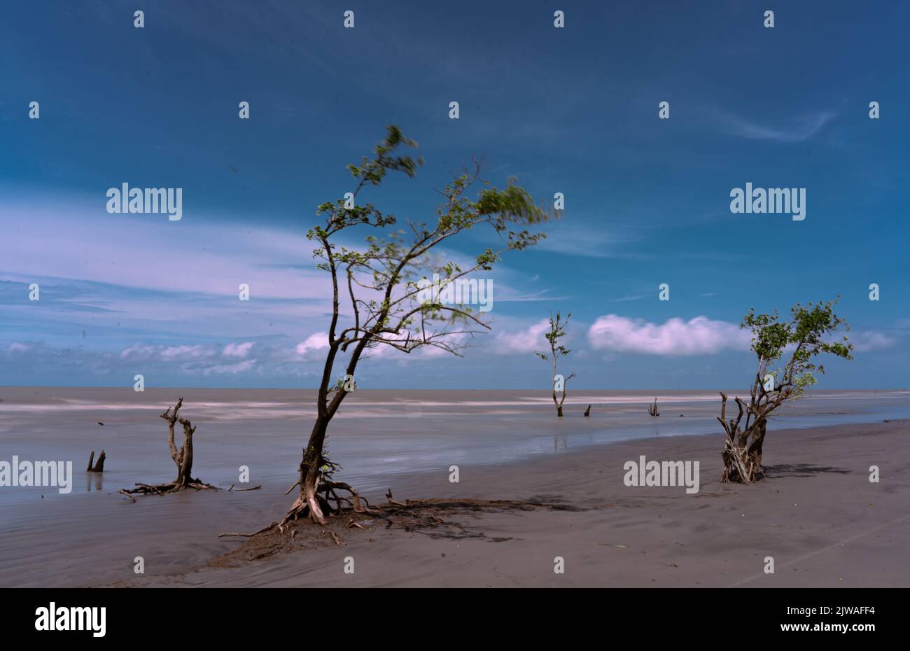 Mer plage bangladesh Banque de photographies et d’images à haute ...