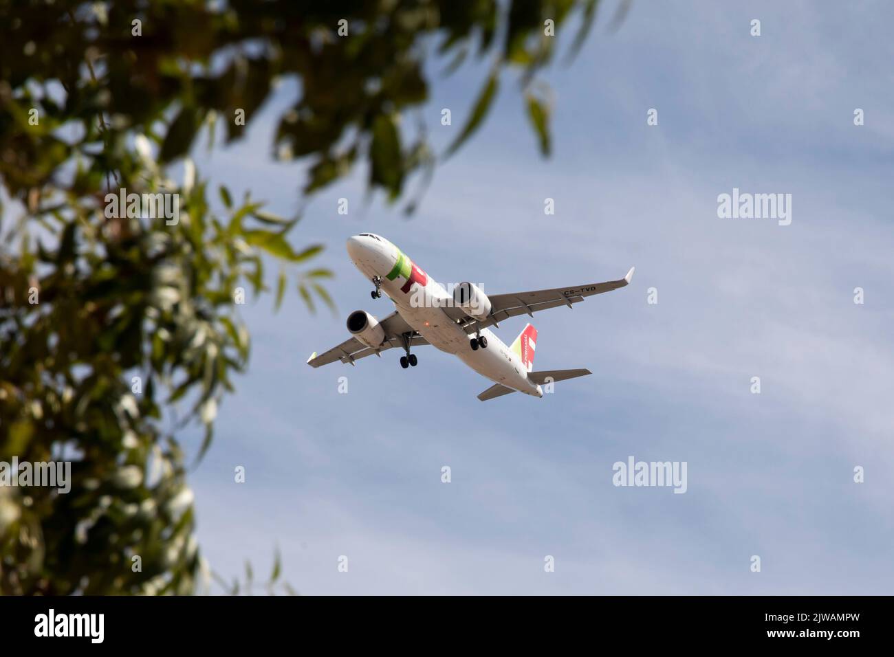 Avion portugal Banque de photographies et d’images à haute résolution ...