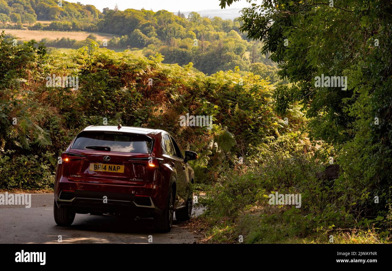 Parc national de Dartmoor, Devon, Angleterre, Royaume-Uni. 2022 ...
