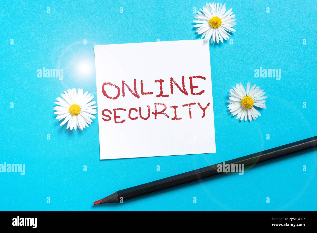 Affichage conceptuel règles de sécurité en ligne pour une protection ...