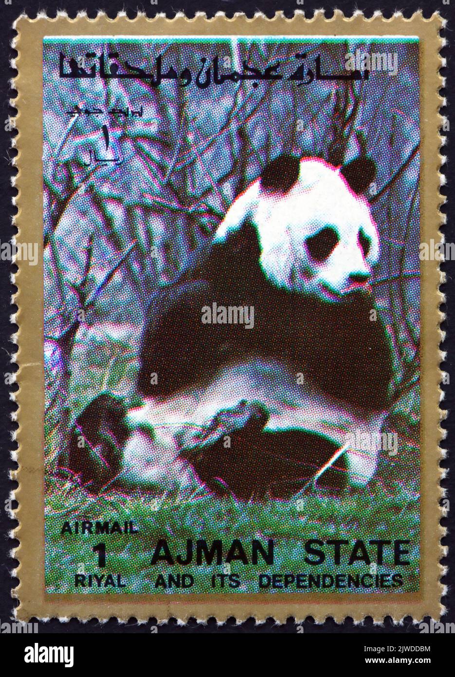 AJMAN - VERS 1973: Un timbre imprimé à Ajman montre le panda géant ...