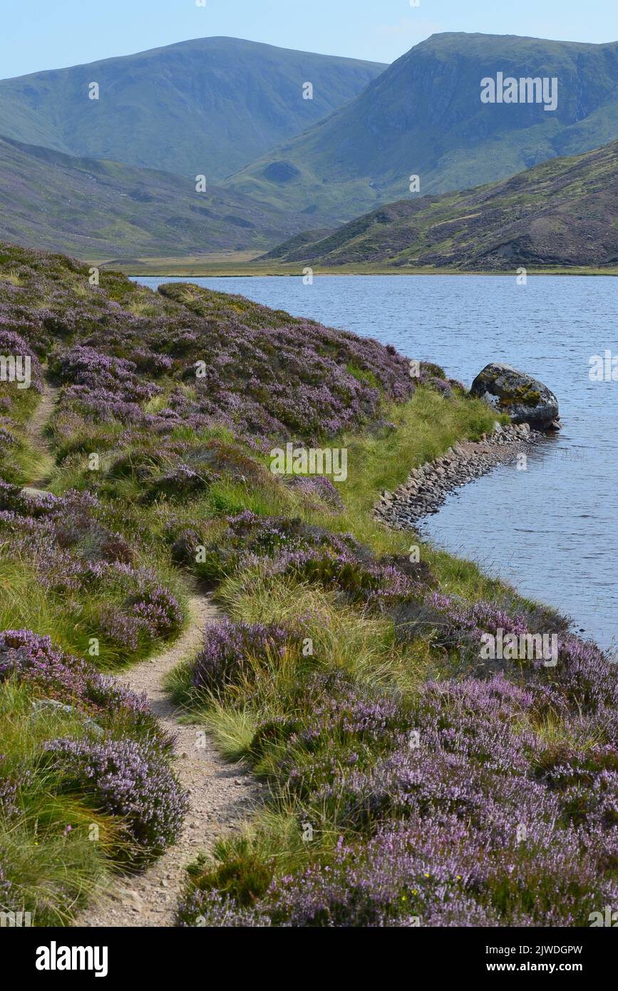Loch callater Banque de photographies et d’images à haute résolution ...