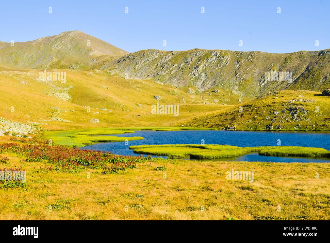 Lagodekhi national park Banque de photographies et d’images à haute ...