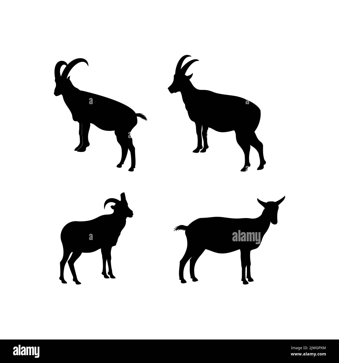 Ensemble de symboles de chèvre élément de conception d'illustration ...