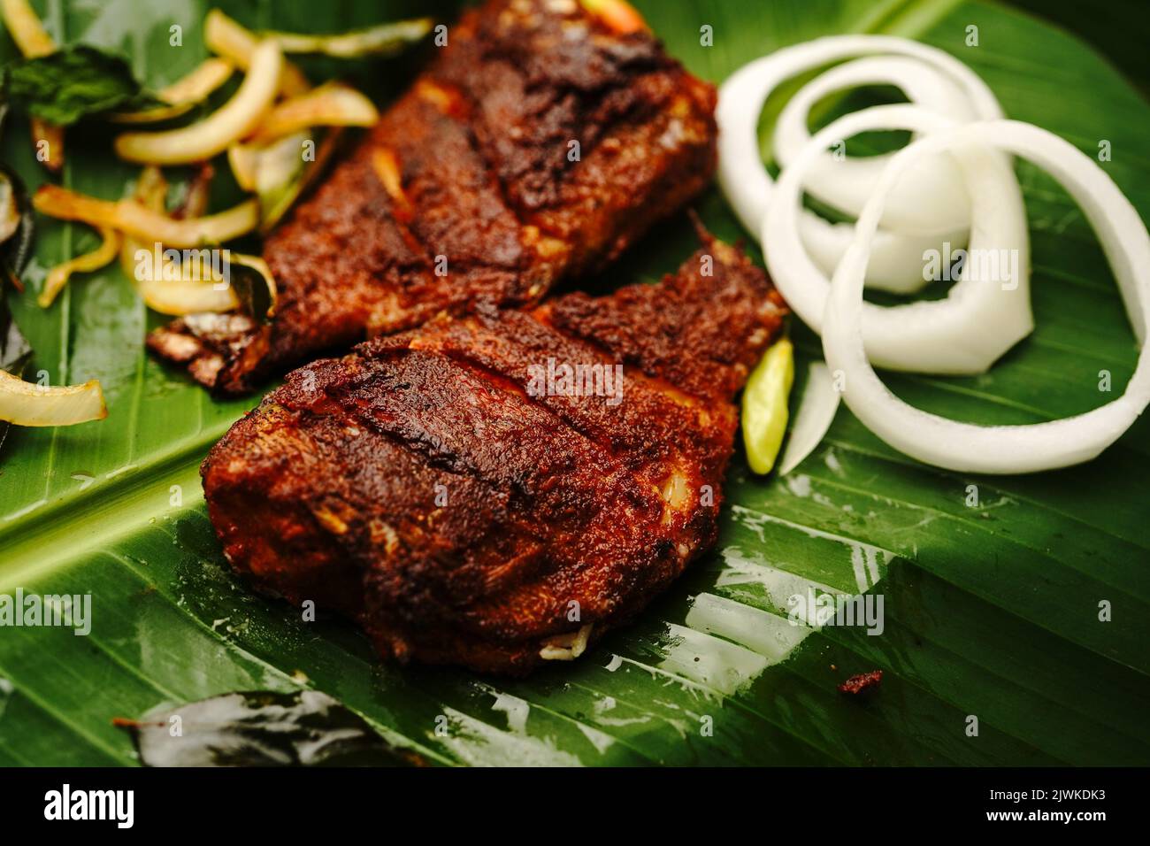 Alevins de poisson kerala Banque de photographies et d’images à haute ...