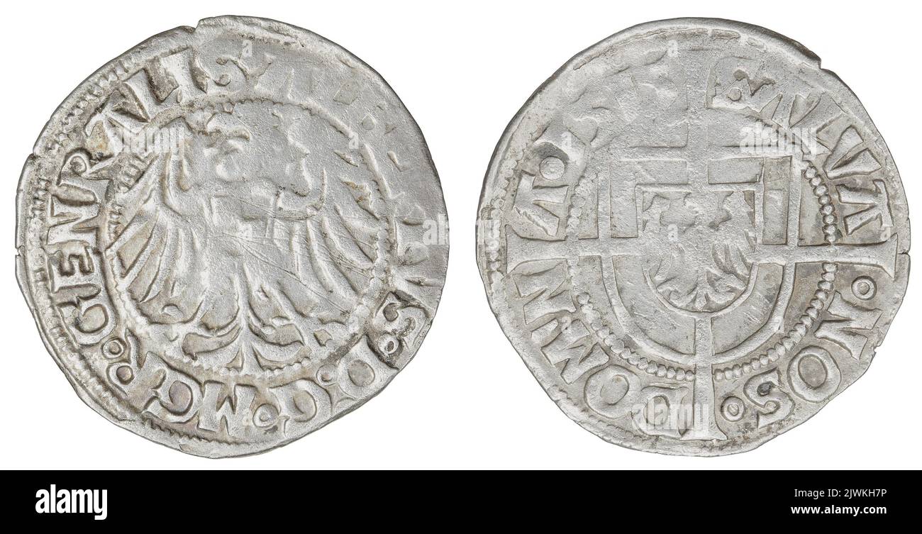 grossen. Zakon krzyżacki (1190-), émetteur, Albrecht Hohenzollern ...