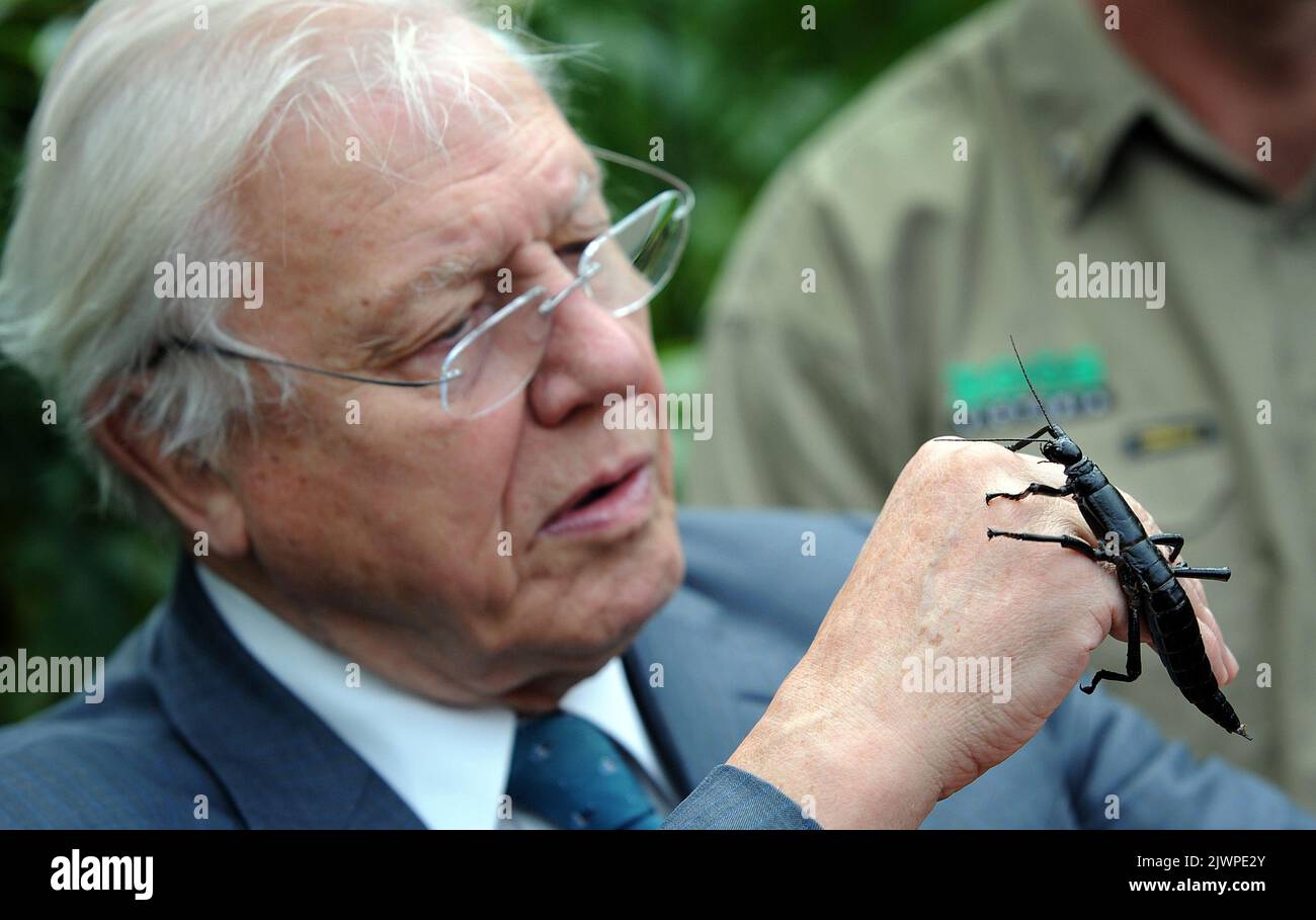 Sir David Attenborough, naturaliste et cinéaste de renommée mondiale ...