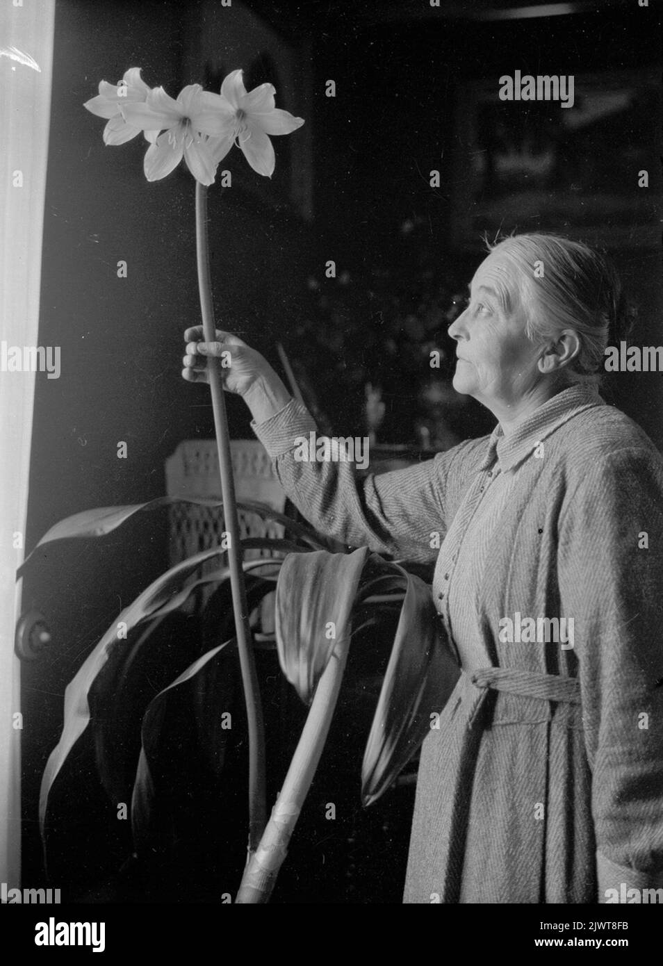 Anna Larsdotter Olsson (la mère d'Elna) avait un frère nommé Janne et ...