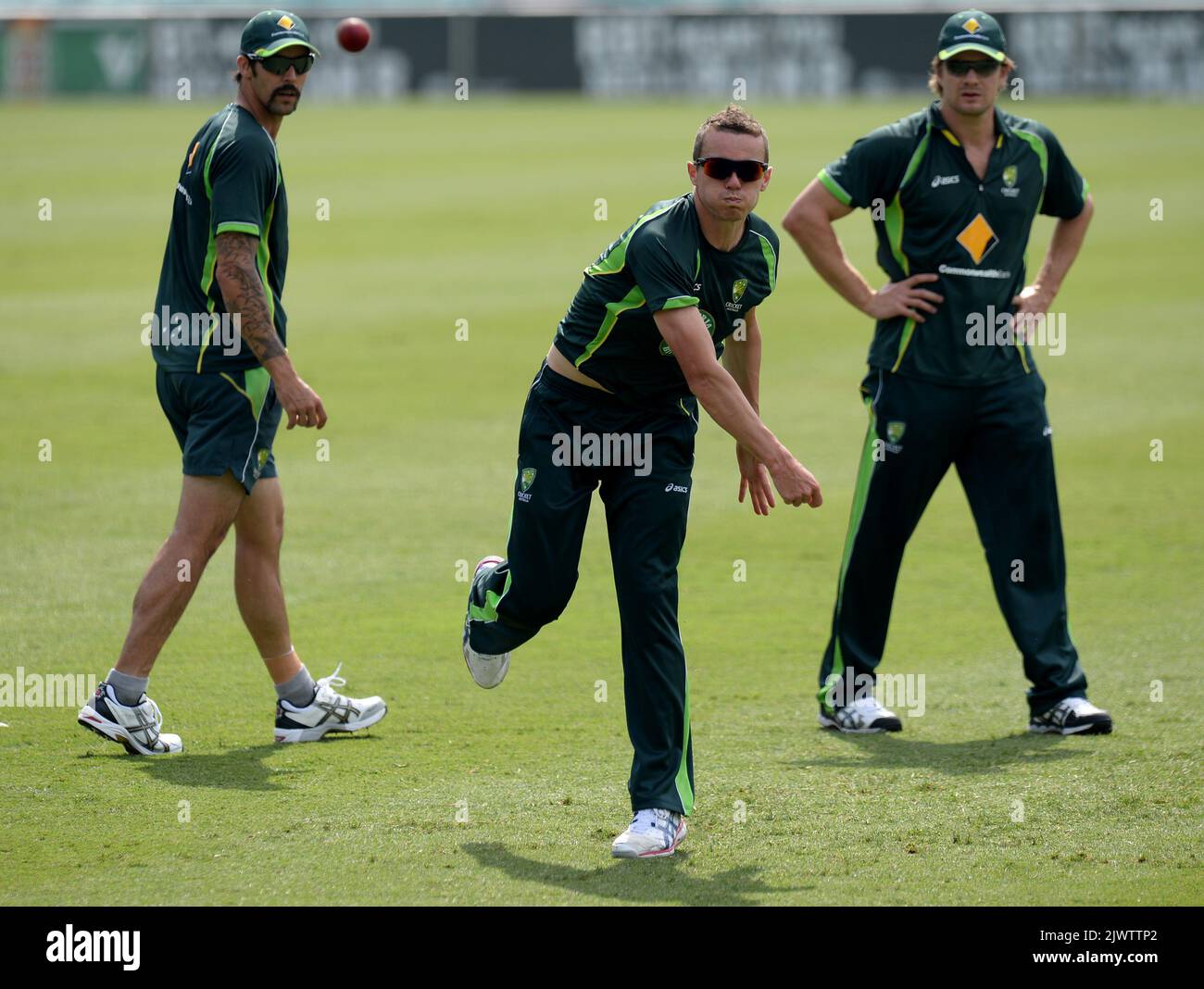 (G-D) Mitchell Johnson, Peter Siddle et Shane Watson, de l'équipe ...