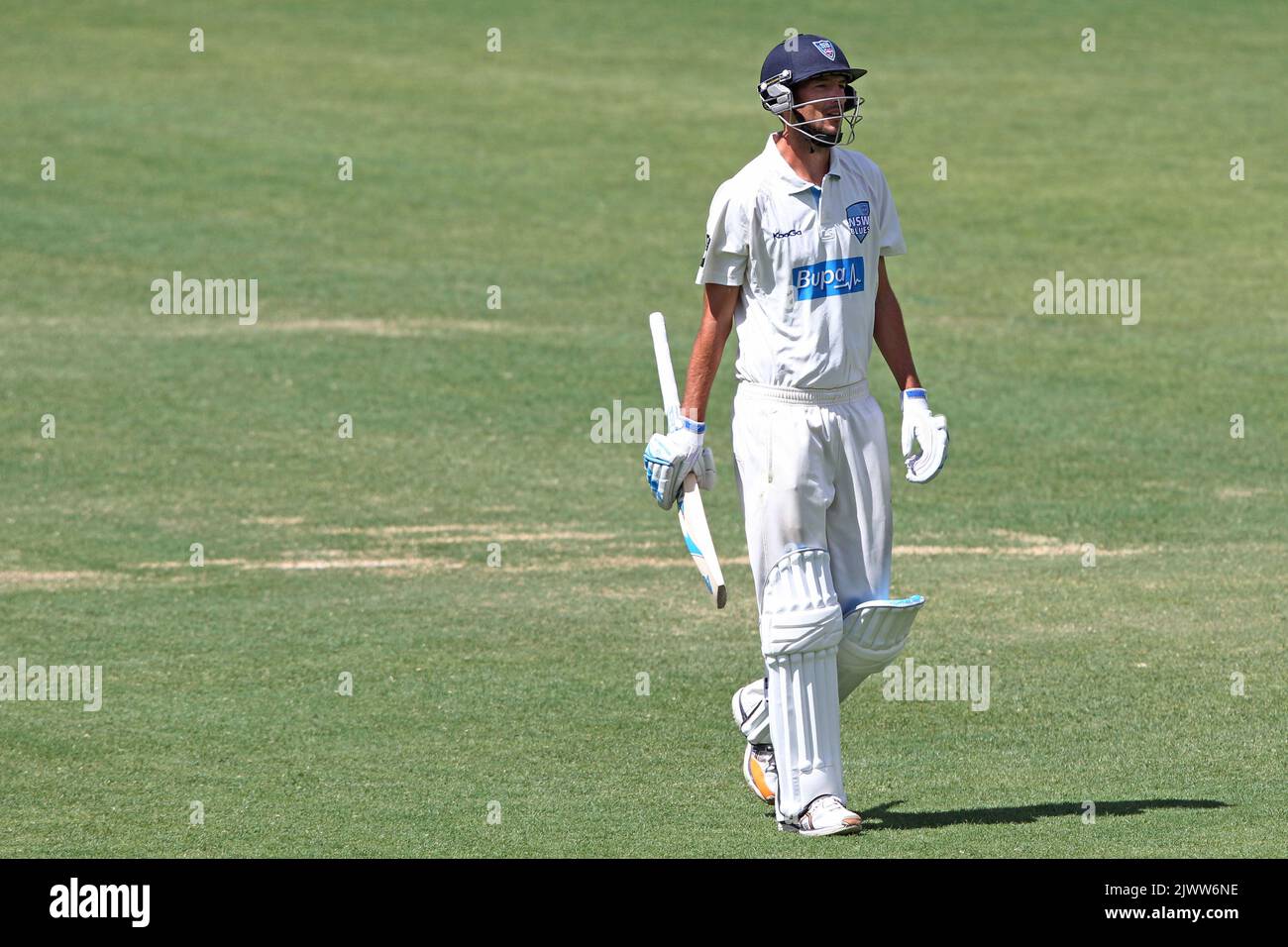 Trent Copeland of the Blues marche après avoir perdu son cricket lors ...