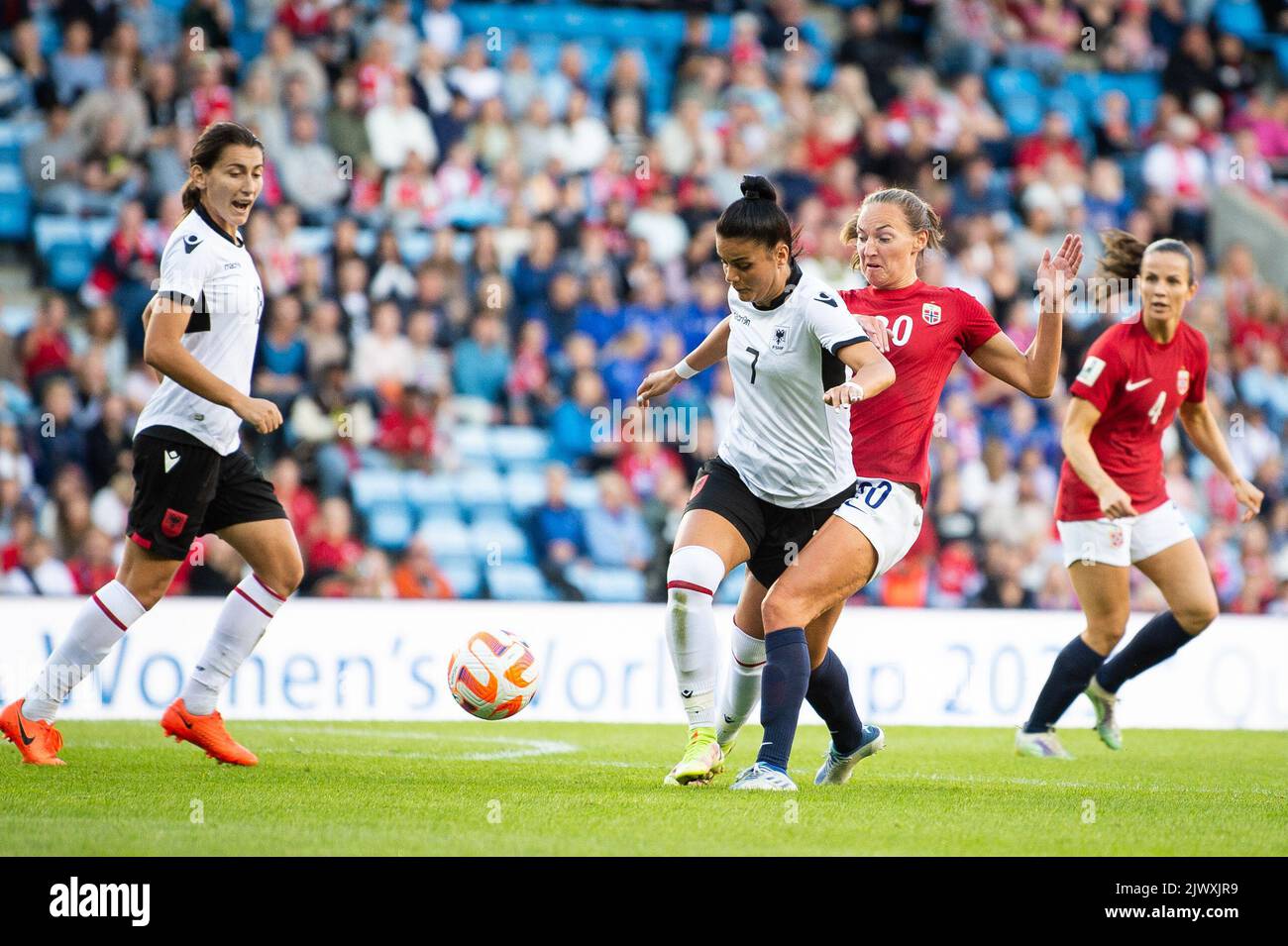 Mimoza hamidi Banque de photographies et d’images à haute résolution - Alamy