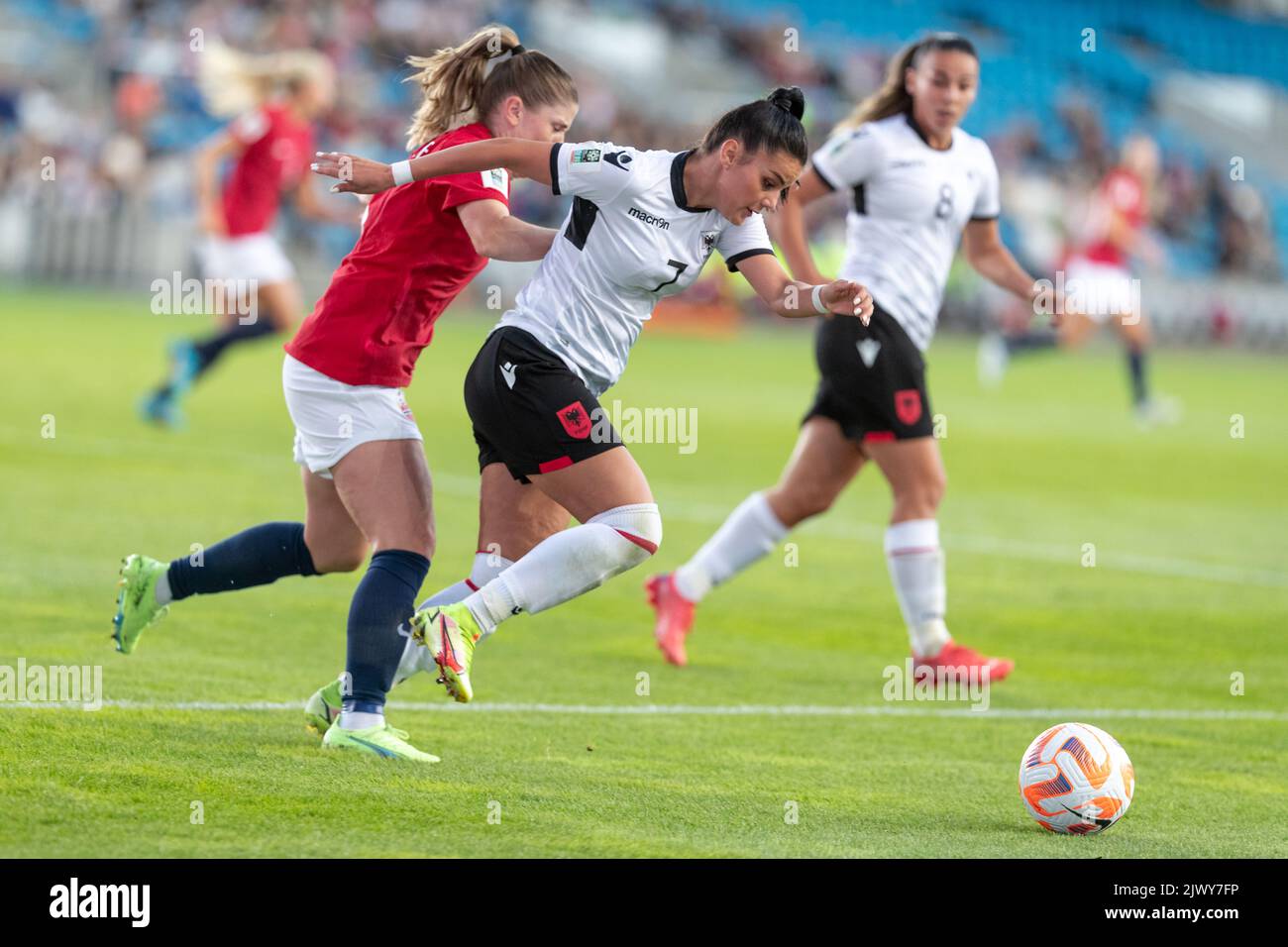 Mimoza hamidi Banque de photographies et d’images à haute résolution - Alamy