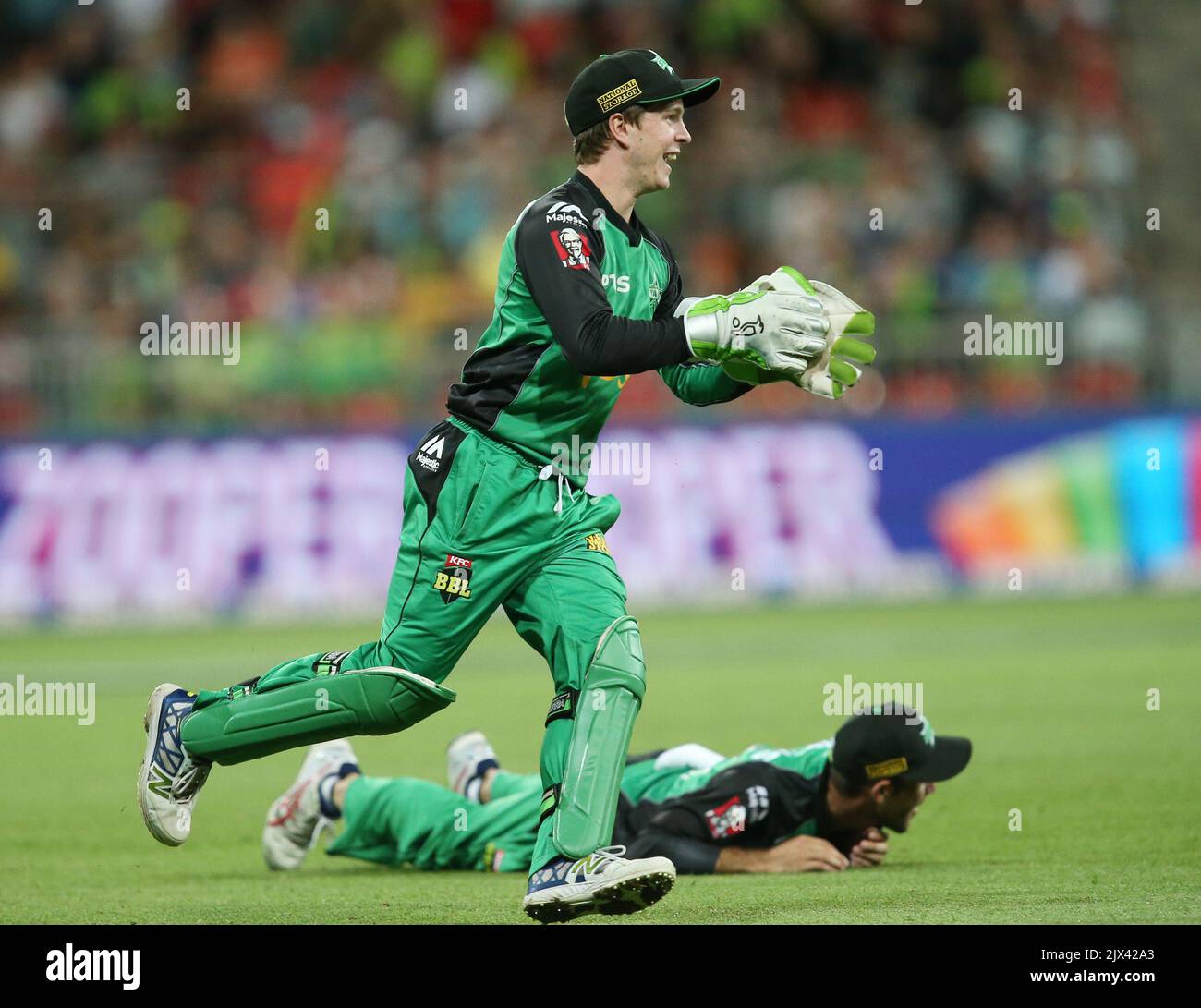 Le gardien de cricket stars Sam Harper célèbre Shane Watson, le ...