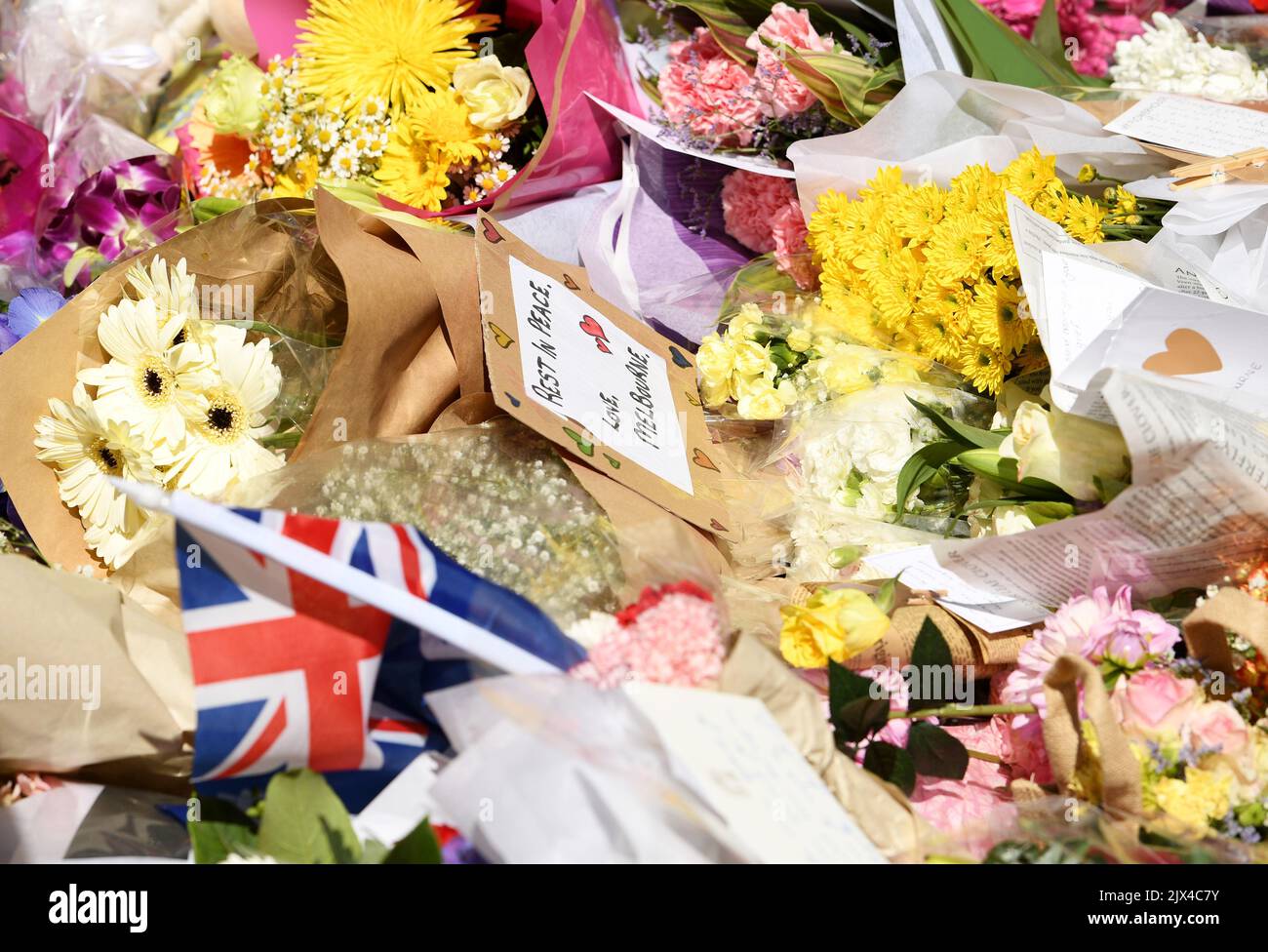 Les amateurs de tourniquets laissent des fleurs au coin de Bourke et ...