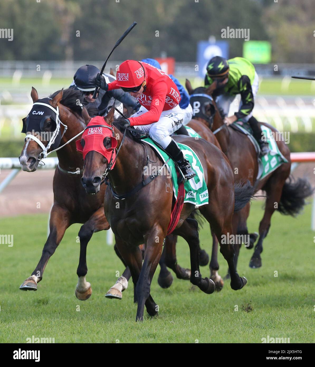Redzel, monté par Kerrin McEvoy, remporte la COURSE DE LA MARQUE TAB ...