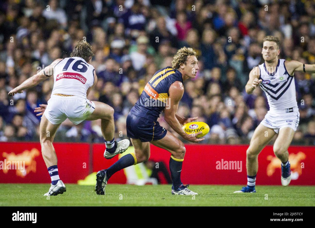 Matt Priddis des aigles de la côte ouest lors du match de la série 6 de ...