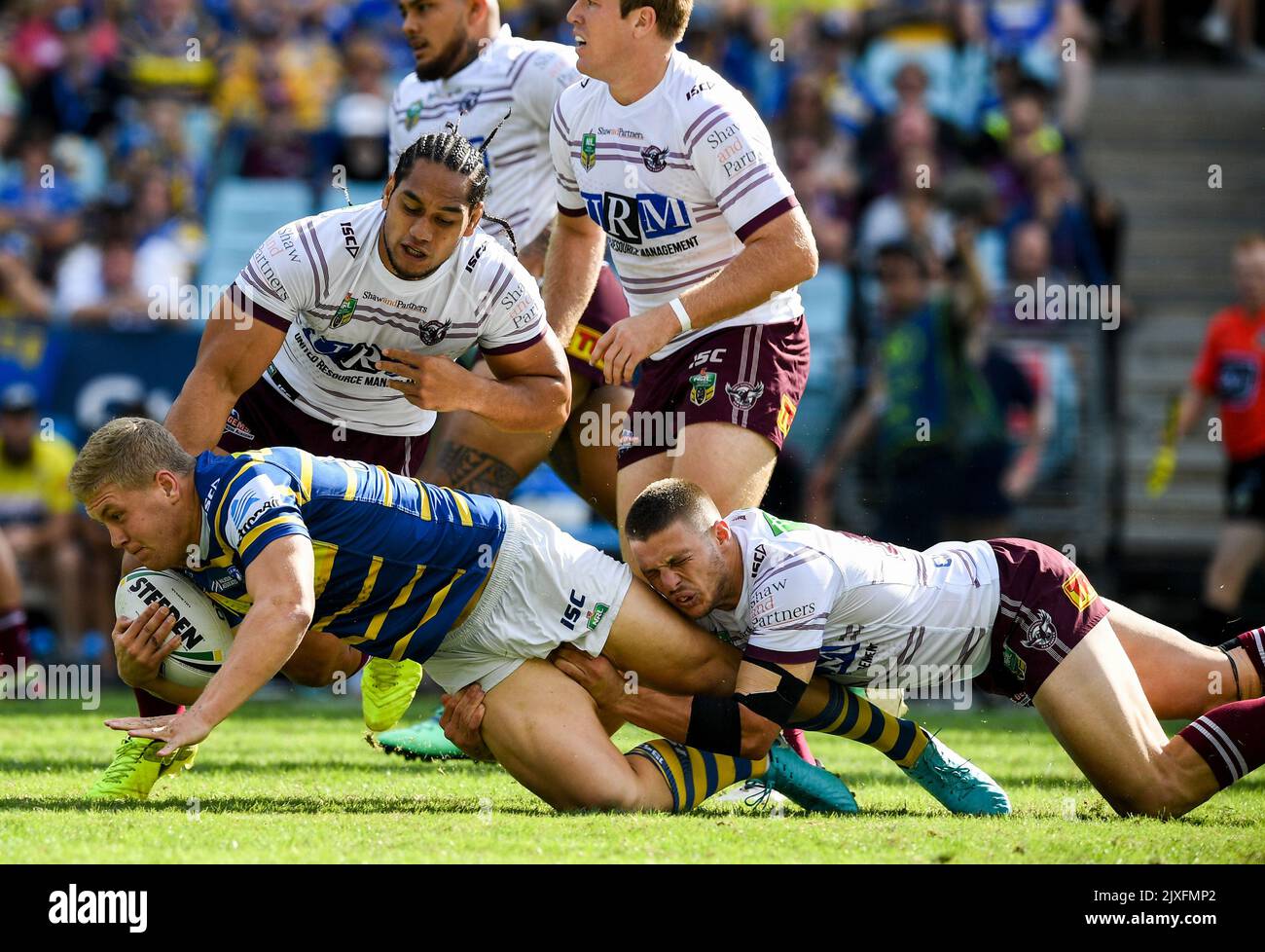 Daniel Alvaro pour les anguilles affronté par Jack Gosiewski pour les ...