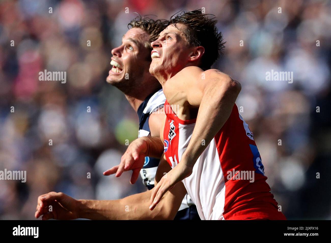 Ben Ronki, des Swans, célèbre son premier but lors du match de la série ...