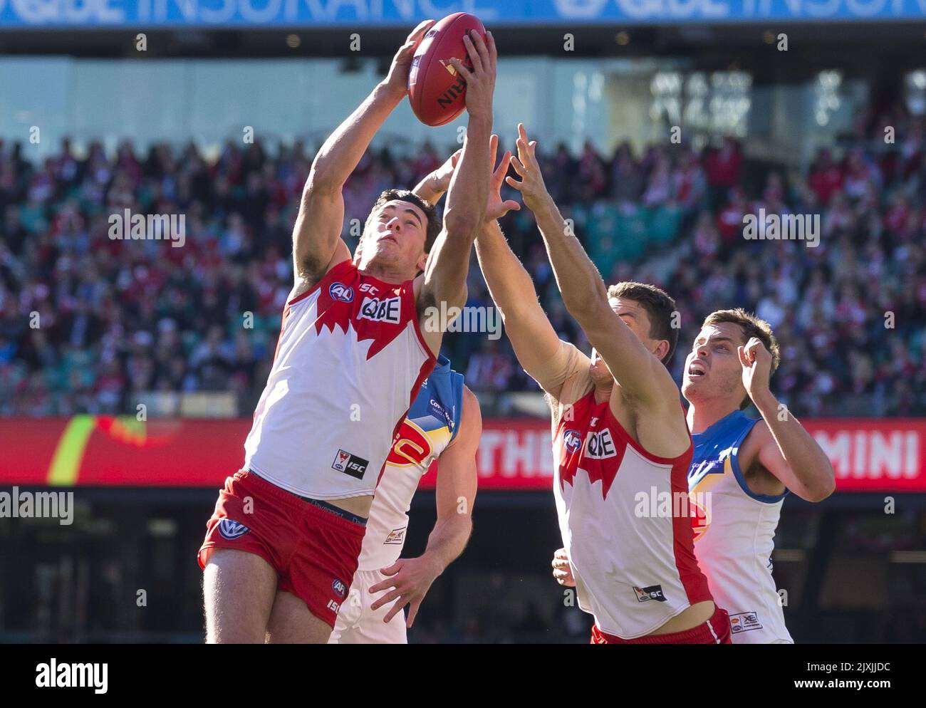 Tom McCartin des cygnes prend une marque lors du match de la série 18 ...