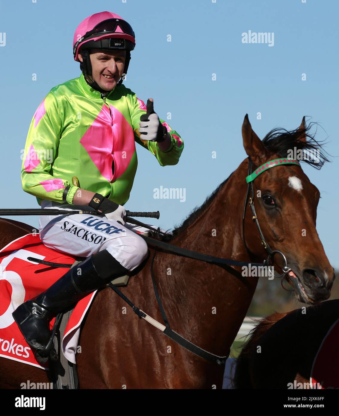 Le Jockey Shane Jackson revient à l'échelle sur Cougar Express après ...