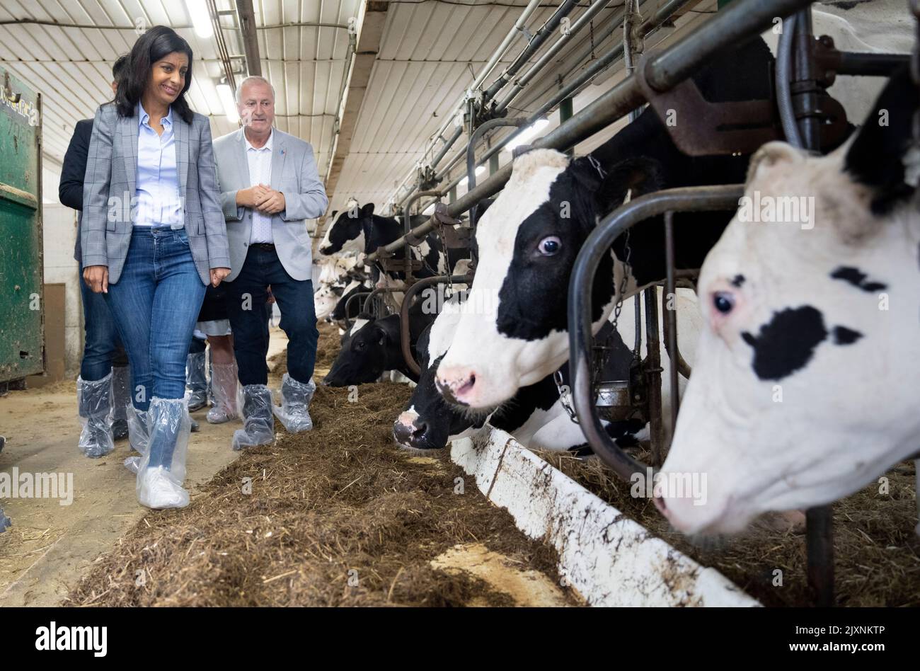 Le chef libéral du Québec, Dominique Anglade, traverse l'écurie lors d ...