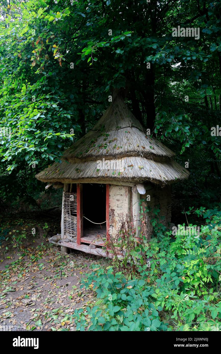Petit magasin d'alimentation/magasin de céréales au Bryn Eryr Iron Age ...